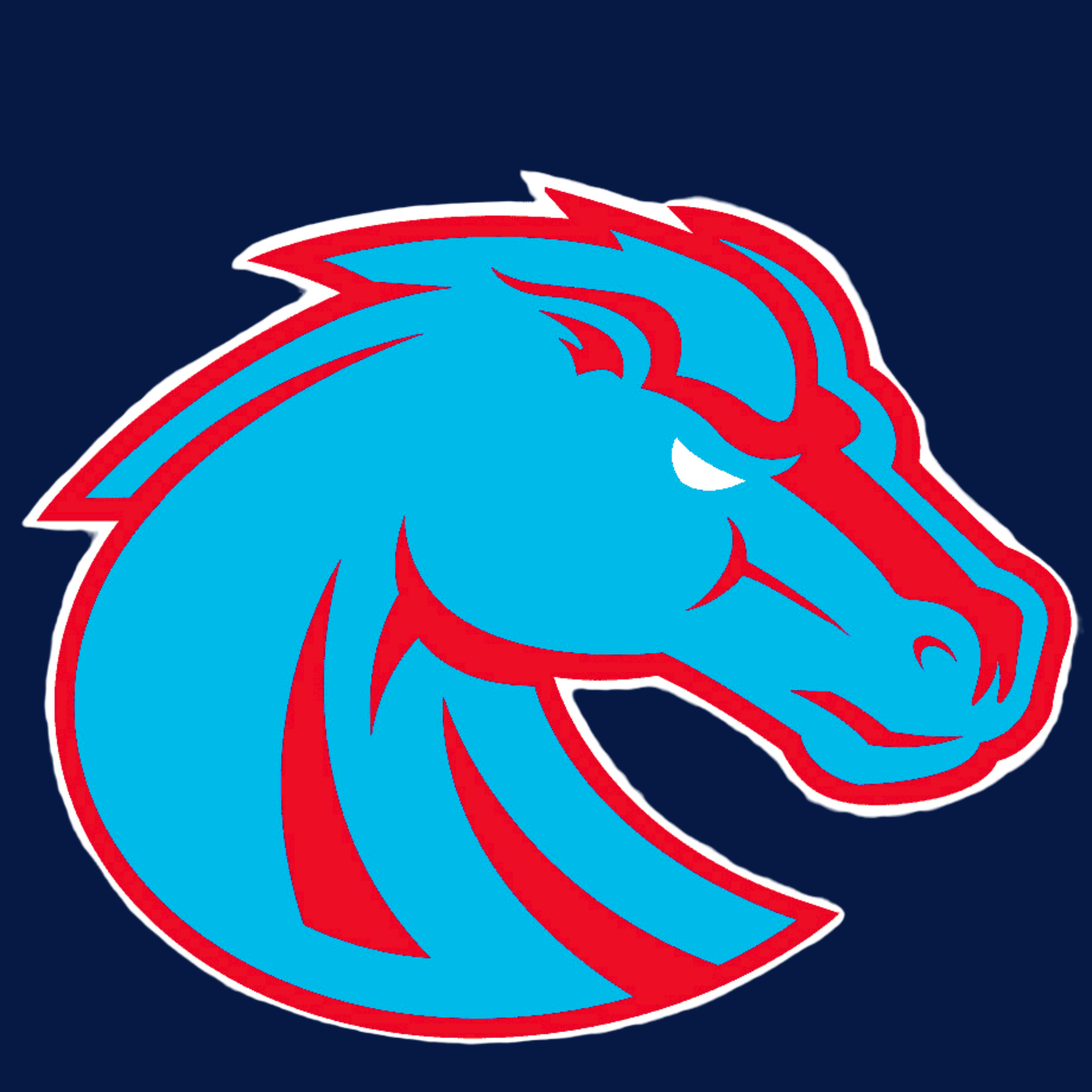 Texas Broncos Spirit Wear – Southern Junkiez